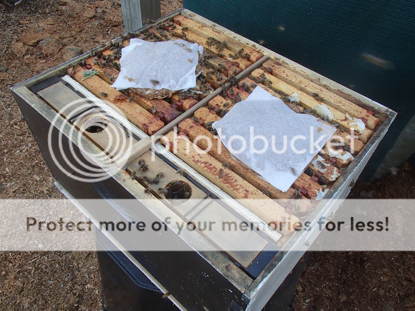 How I plan on overwintering 40 mating nucs on mini frames | Page 6 | Beesource Beekeeping Forums